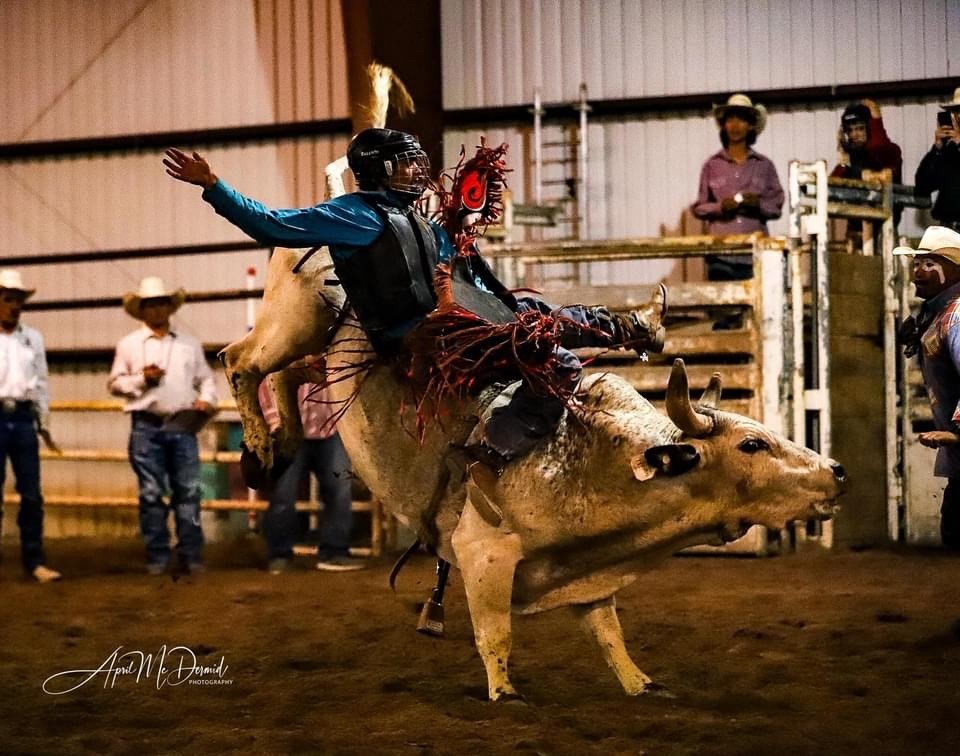 Bull Riding Rodeo in Stanton, TX | Mini Bull Riding | Cactus Rodeo Company