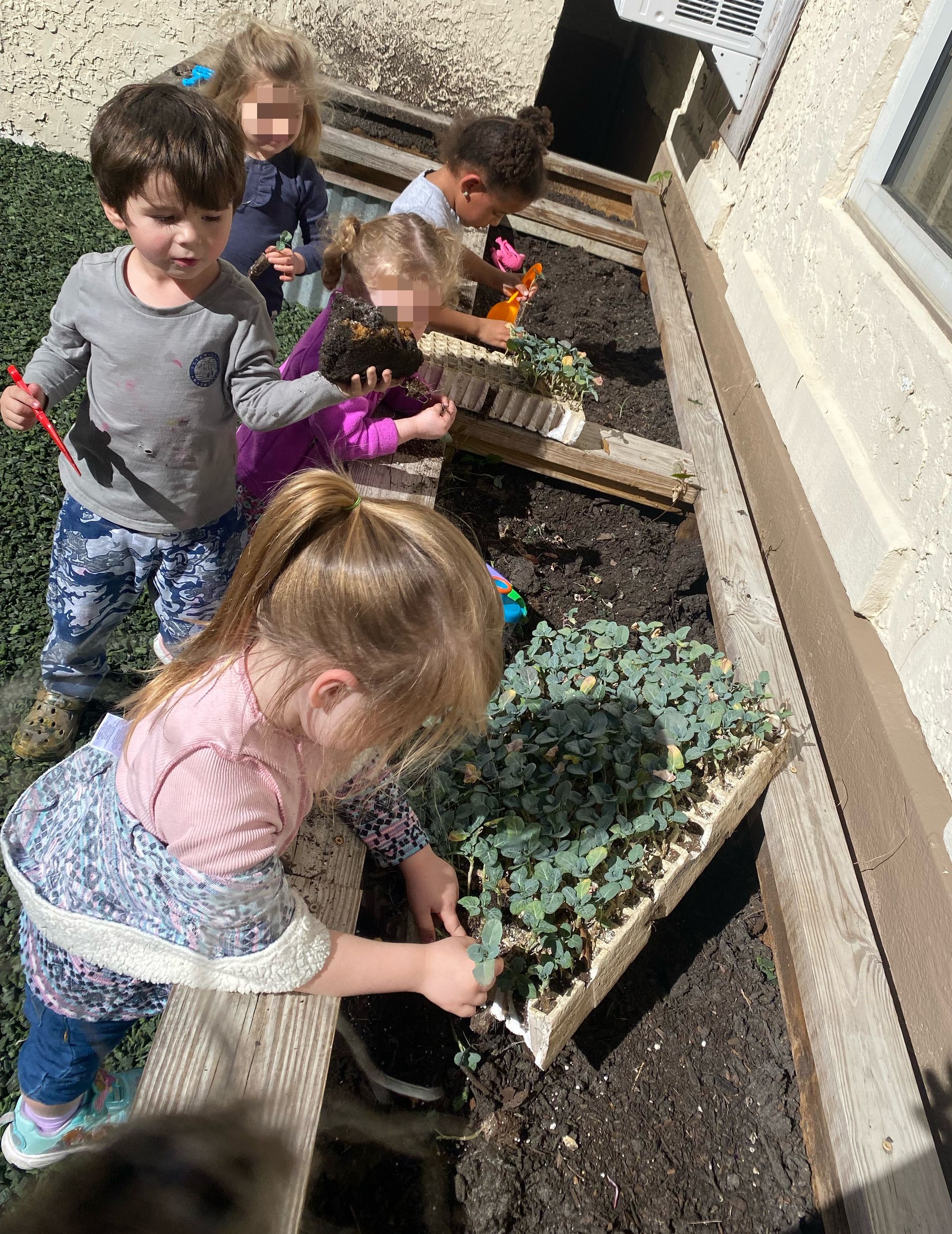 Learning Experiences