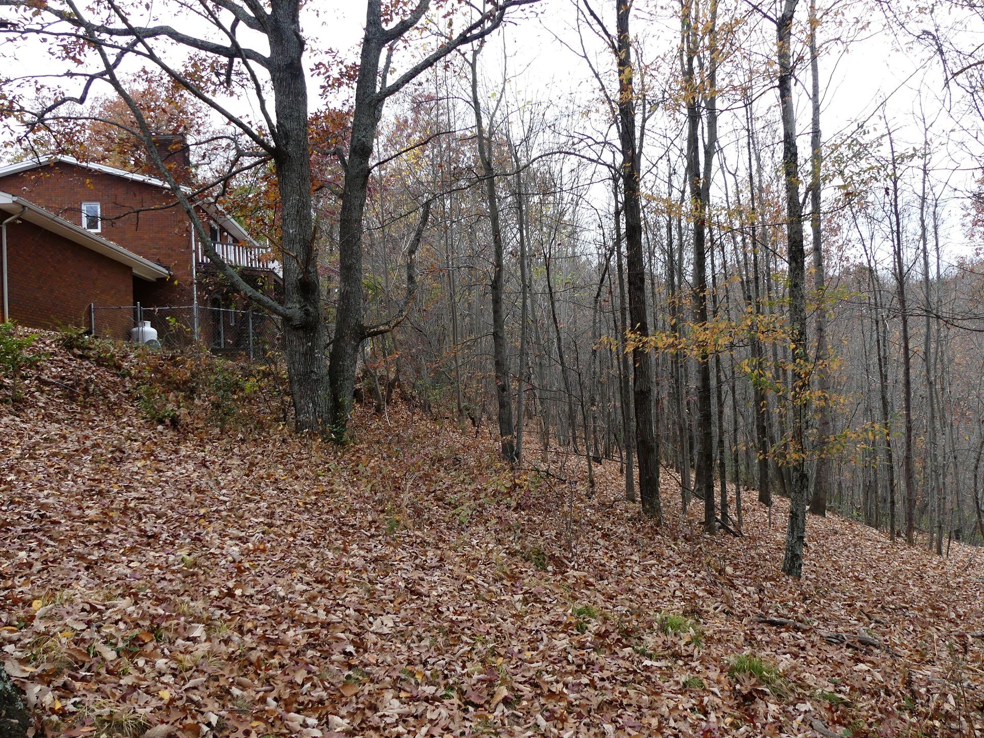 Land Clearing Services Morganton, NC | Clear Trax Land Management LLC