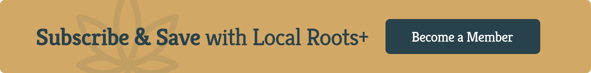 Local Roots Cannabis Crafted Products for Massachusetts