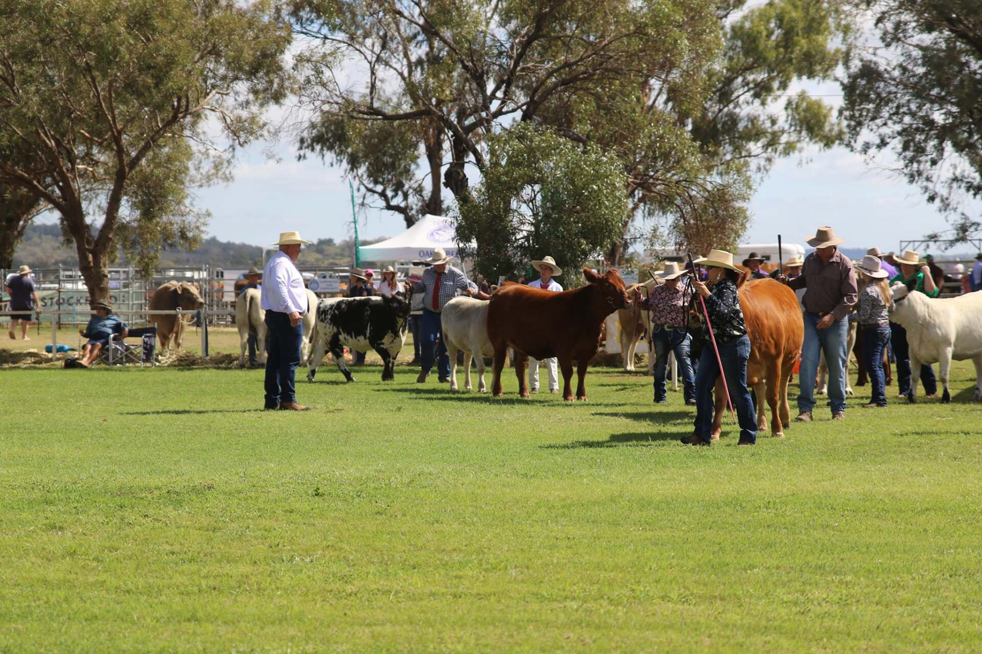 Community | Coops Construction - Residential, Civil, Earthworks & Mining