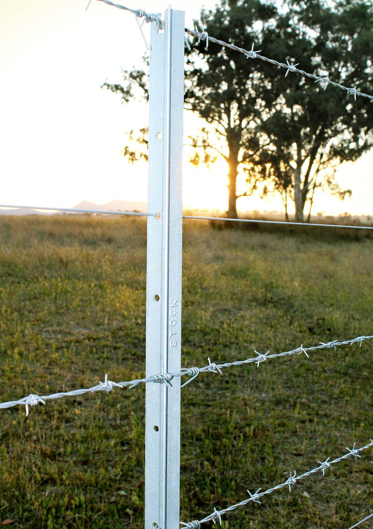 Rural Fencing in Mackay | Dog Gone Fencing