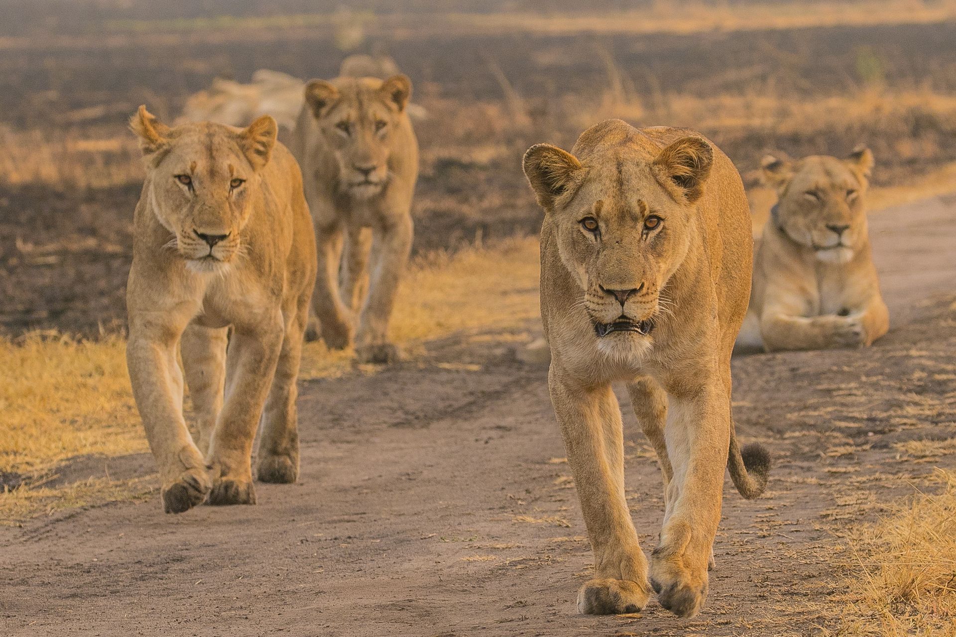BEHIND THE SCENES IN AKAGERA