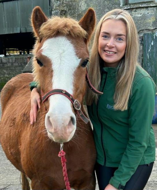 Meet the team at Kilcash Equine Clinic