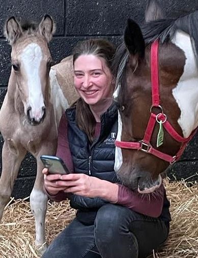 Meet the team at Kilcash Equine Clinic