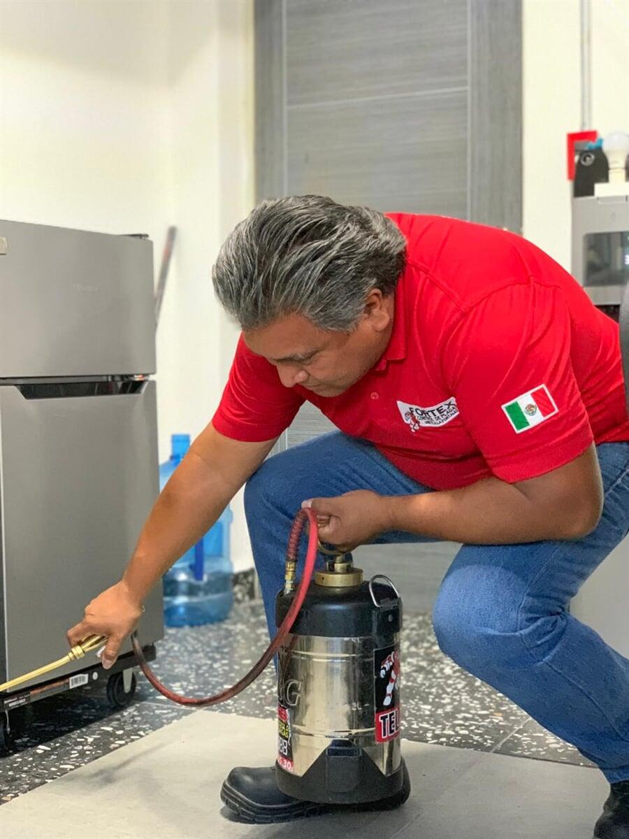 Control de plagas en Monterrey y Área Metropolitana – Fumigaciones Fortex