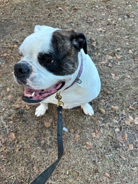 View Our Gallery | Augusta, GA | The Hamptons of Grovetown