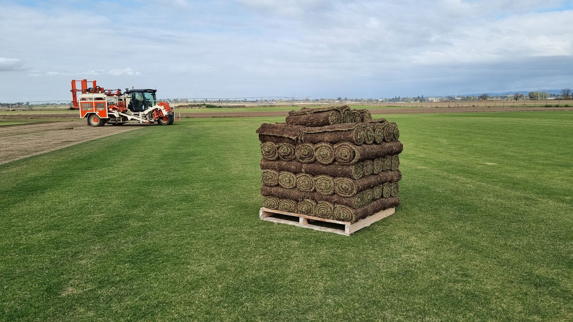 Gallery | Sydney, NSW | Qualturf