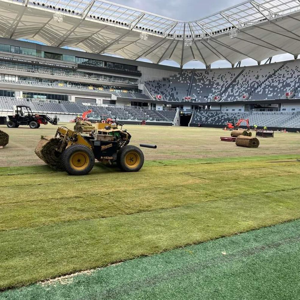 Gallery | Sydney, NSW | Qualturf