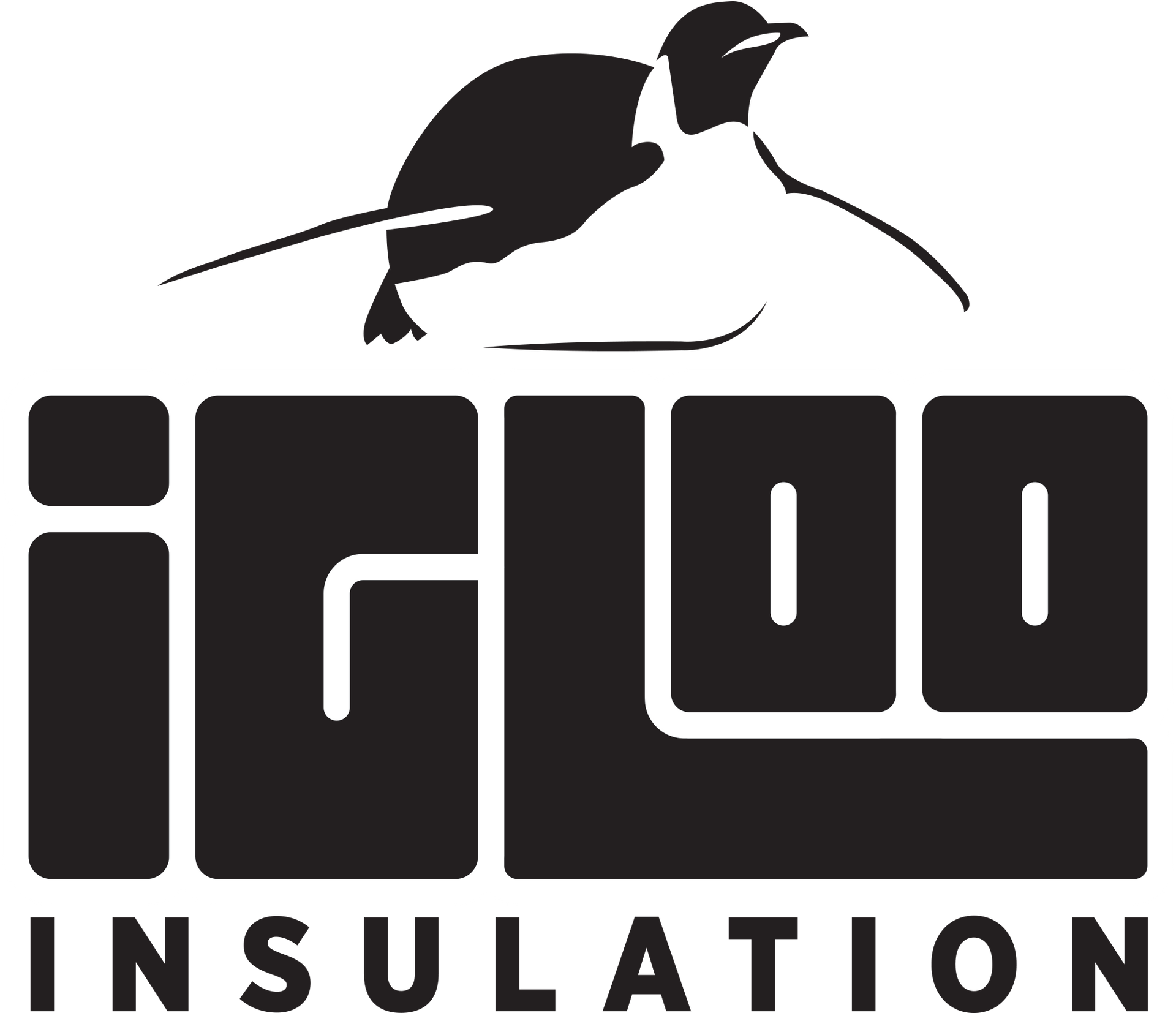 Insulation Installation | Igloo Insulation | Lake Placid, Fort Meyers & Cape Coral, FL