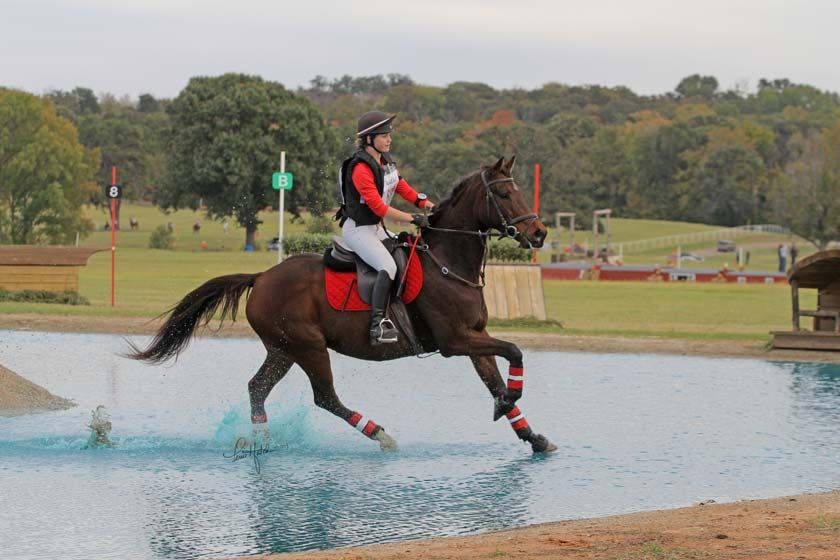 Texas Rose Horse Park | East Texas' Premier Horse Park