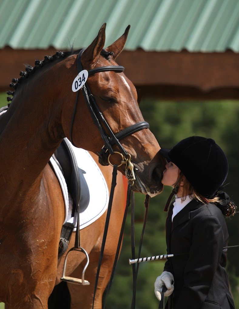 Texas Rose Horse Park | East Texas' Premier Horse Park