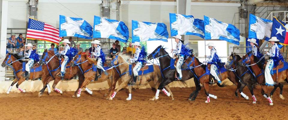 Visitor Information - Texas Rose Horse