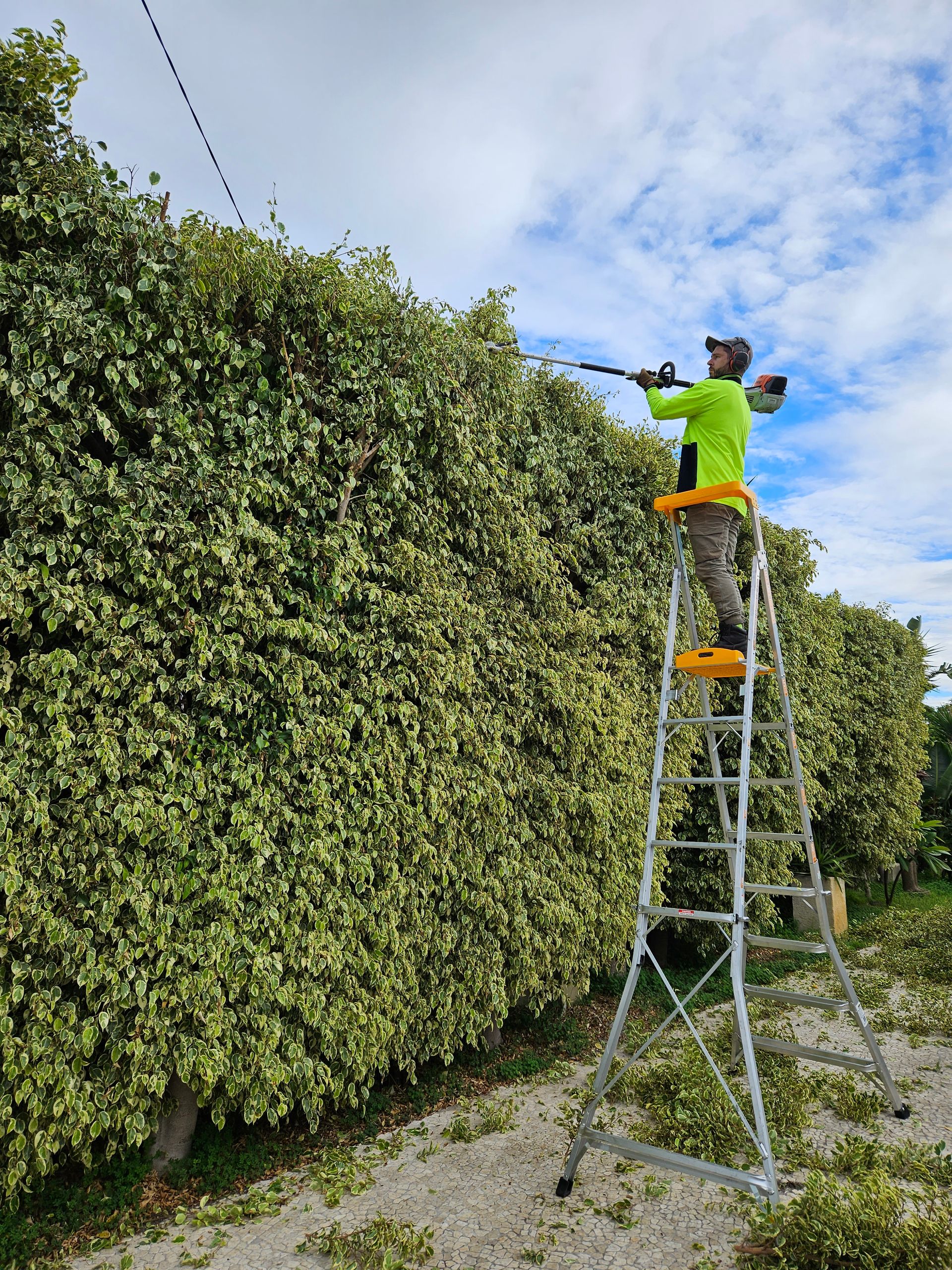 Meet the Team | Gardening Services Perth | Two Gloves