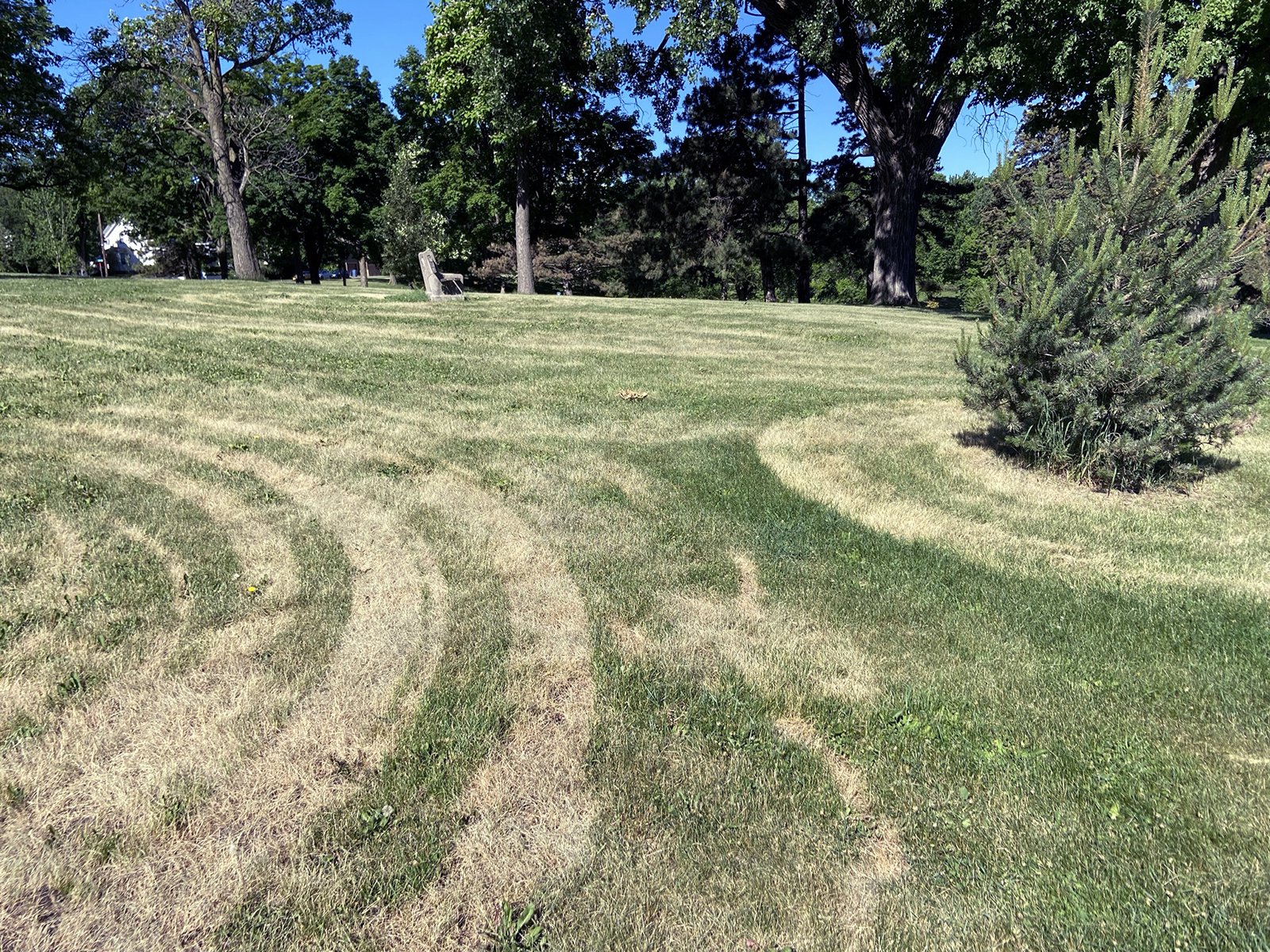 How To Protect and Restore your Turfgrass from Summer Stress