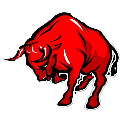 Bad Bull Beef Jerky | Premium Flavors