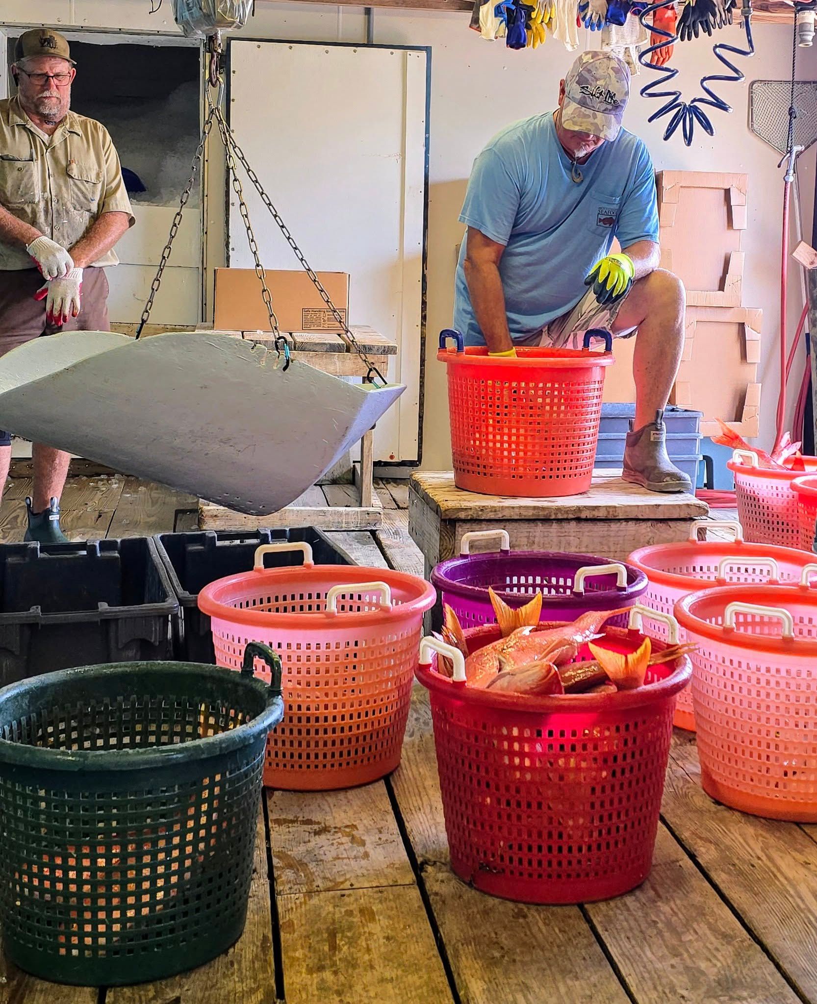 Fresh Seafood Market | Fish Peddler | Holden Beach, NC