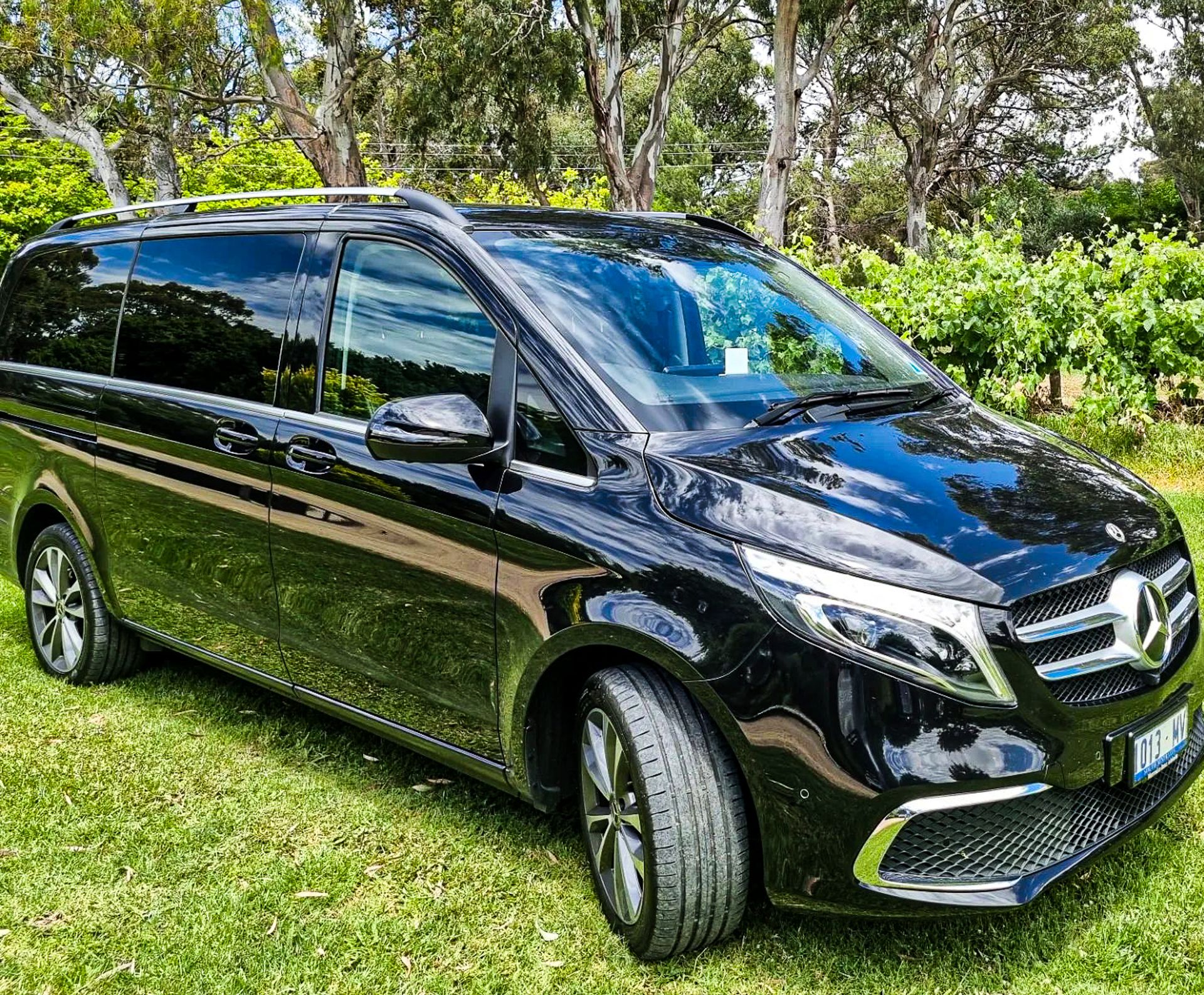 McLaren Vale Set Wine Tour | AMQ Tours