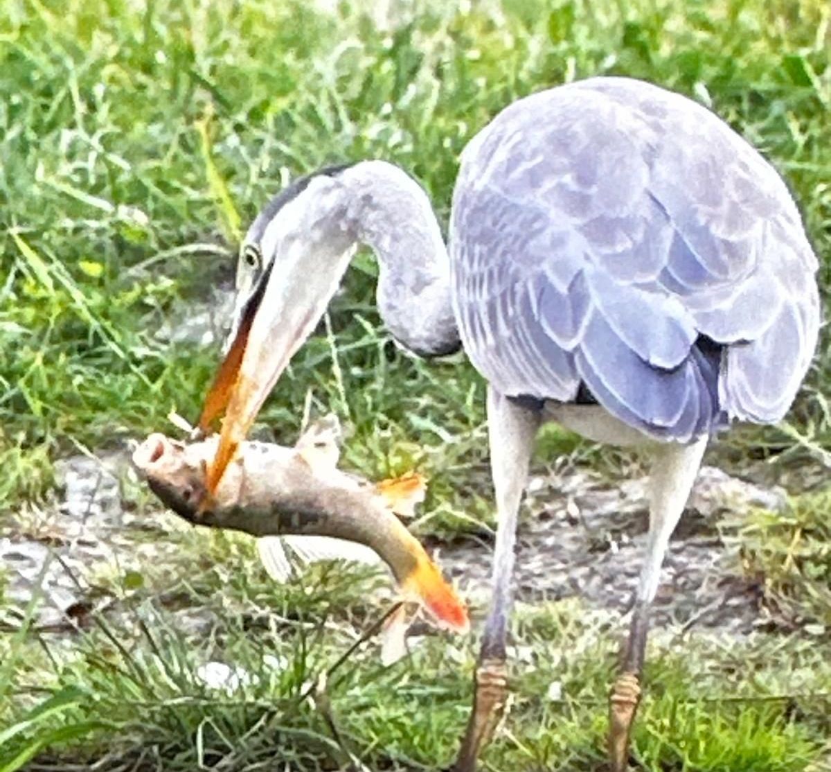 Brine Pit Wildlife Photography - Wildlife hide