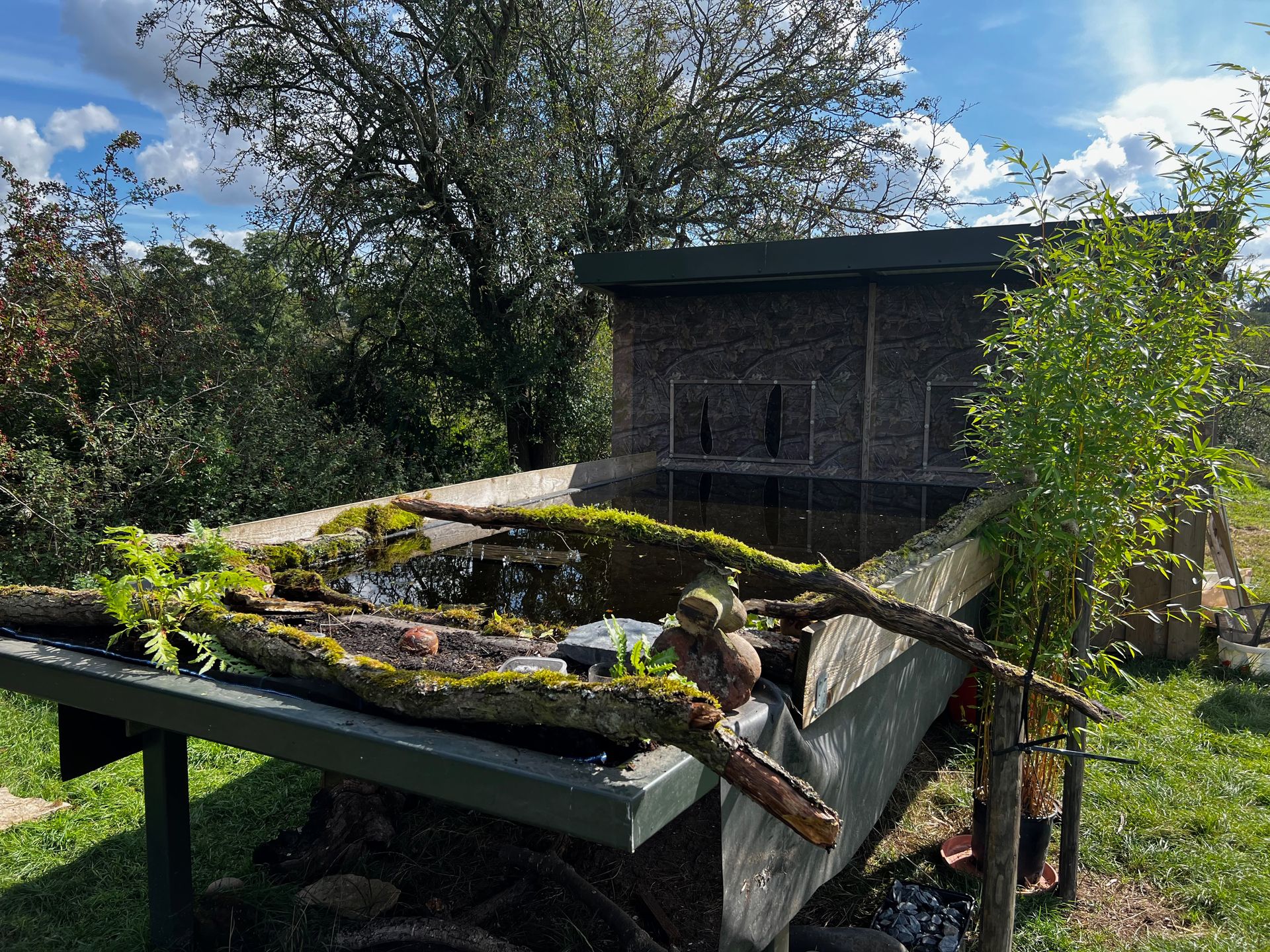 Brine Pit Wildlife Photography - Kingfisher and Kestrel hide for hire