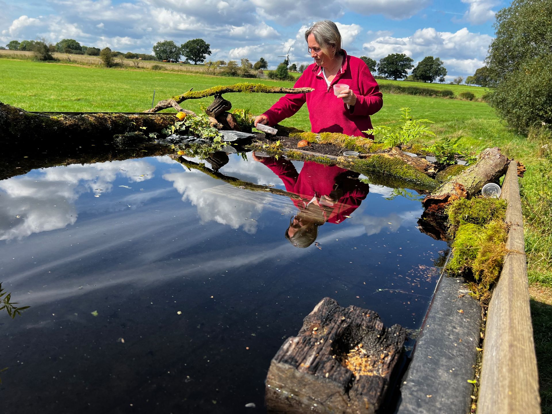 Brine Pit Wildlife Photography - Kingfisher and Kestrel hide for hire