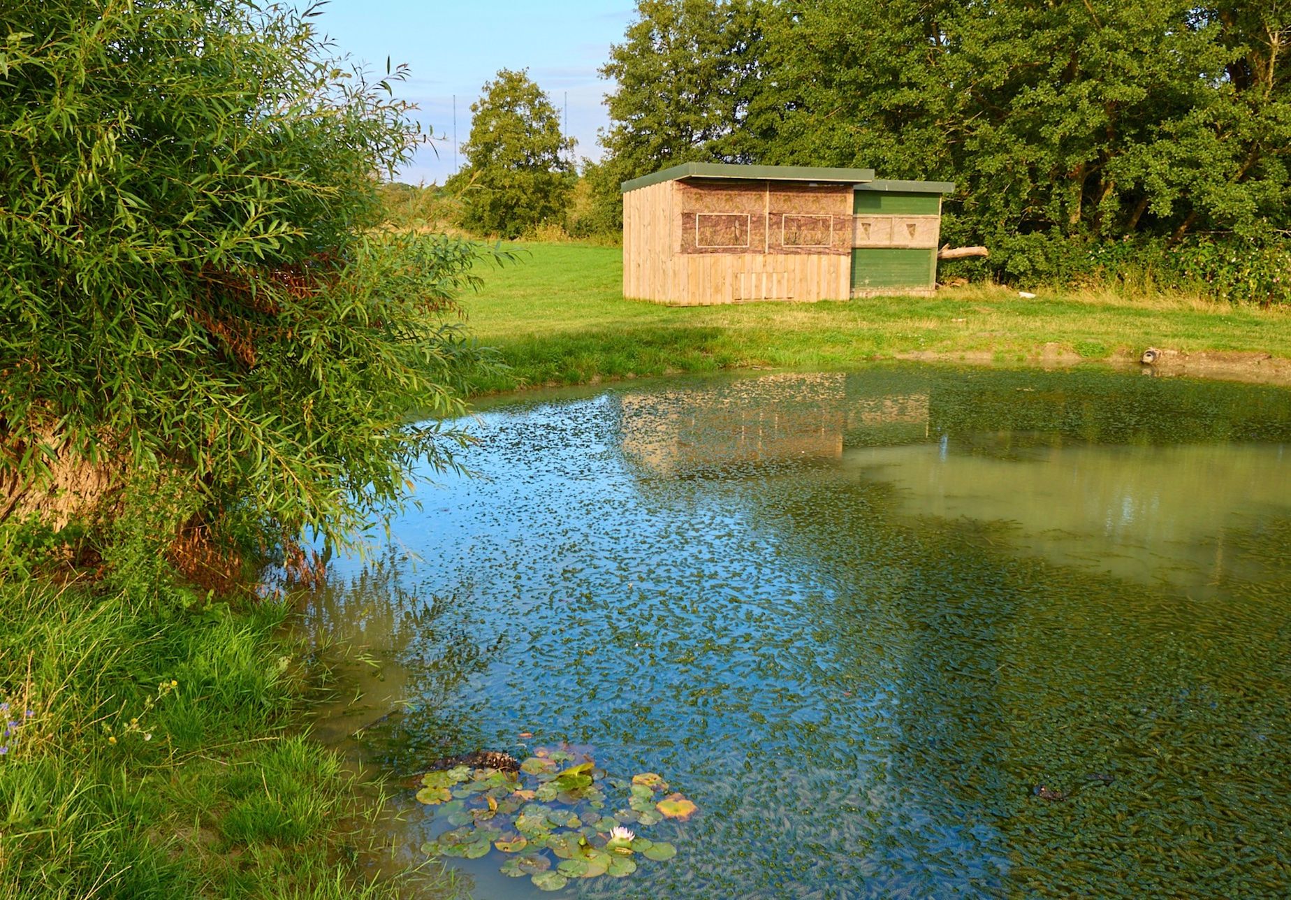 Brine Pit Wildlife Photography - Wildlife hide