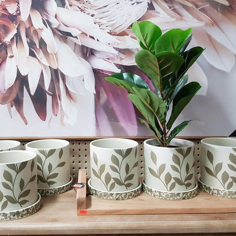 Welcome - OMGosh Discount Variety Stores