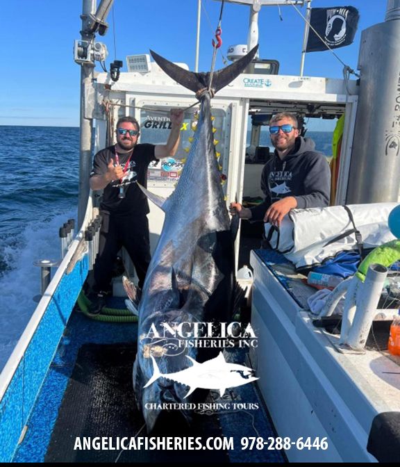 Angelica Fisheries | Gloucester MA Fishing Charters