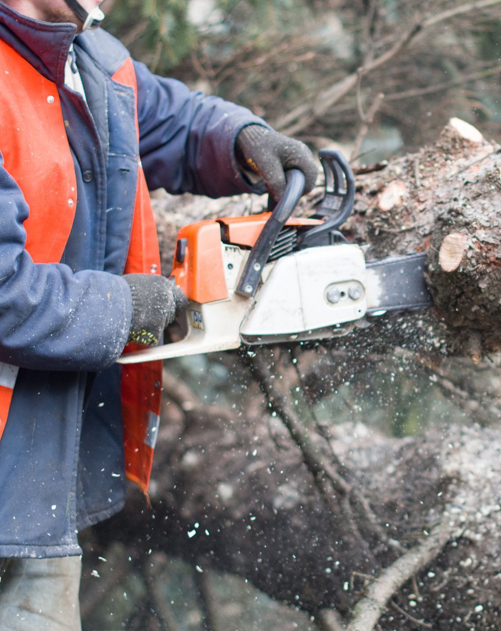 Tomax Tree Service LLC | Tree Services Near Me