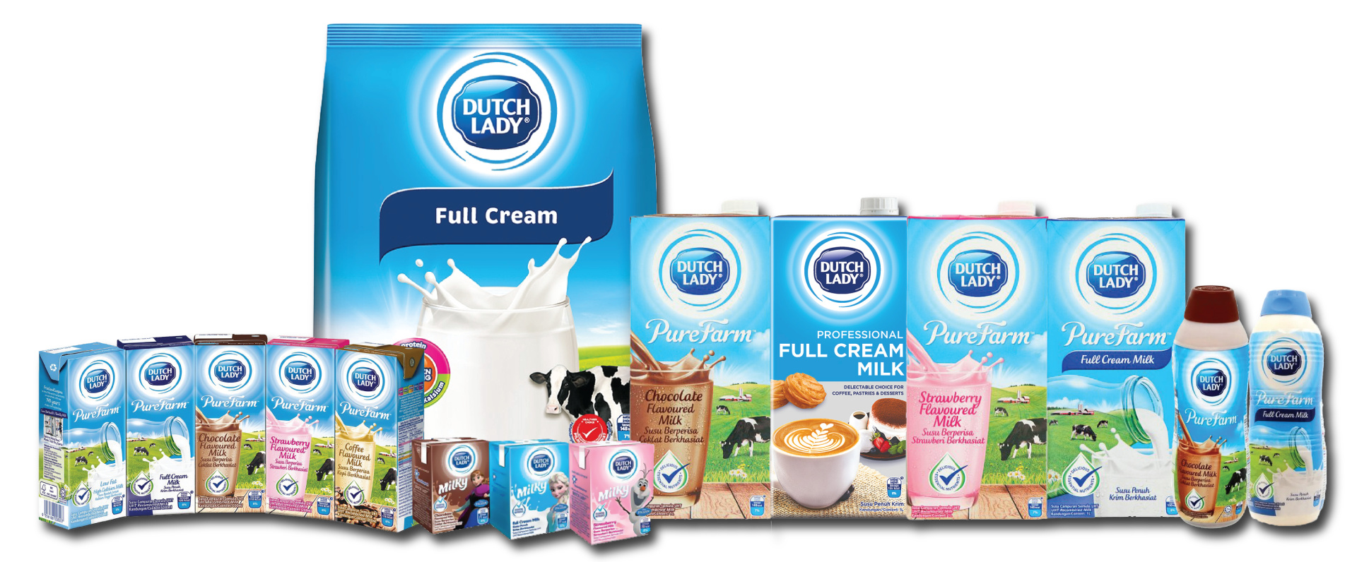 Dutch Lady Supplier Malaysia - Standard Food Solutions