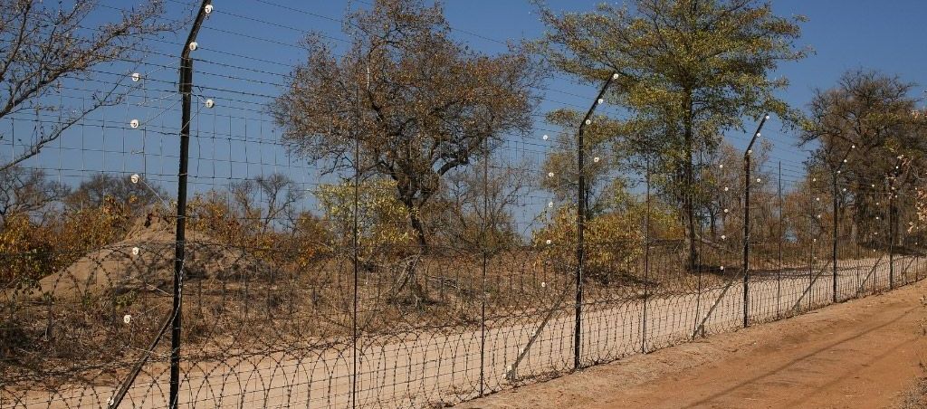 THE RISE OF HIGH FENCES IN SOUTH AFRICAN WILDLIFE MANAGEMENT