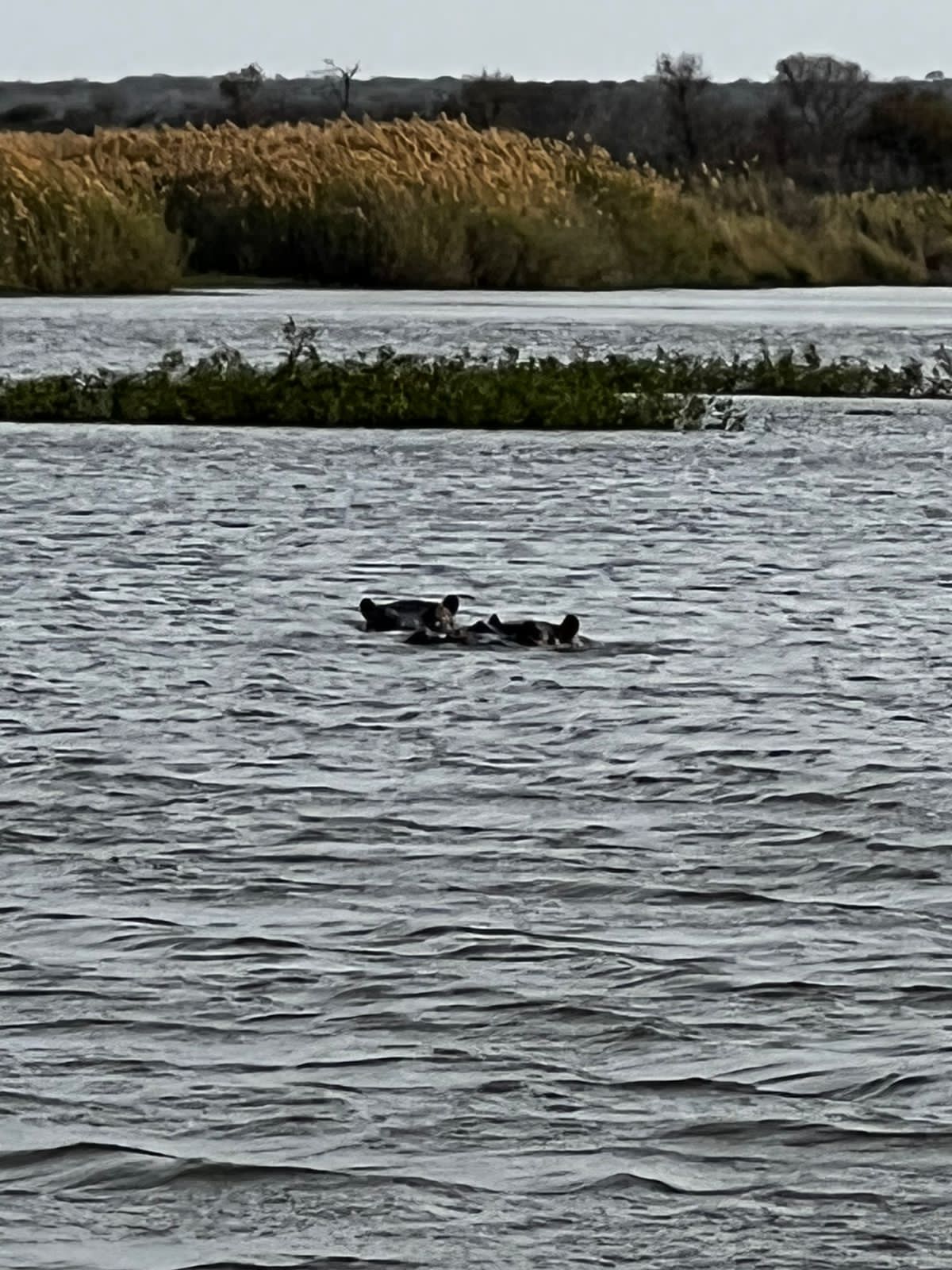 Rust de Winter Safaris - YOUR Hunting Safari