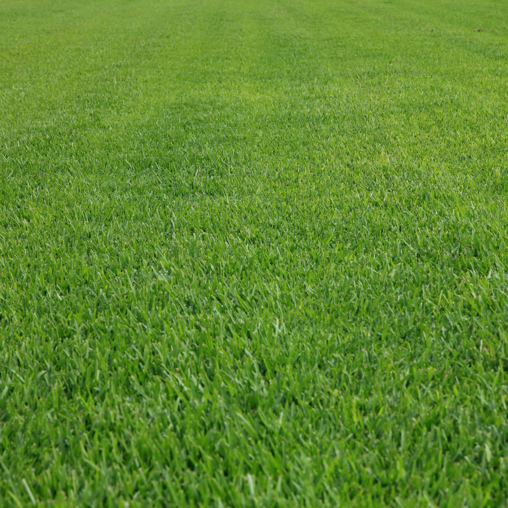 Turf & Soil Wholesale | Sydney NSW | Aussie Turf & Soil