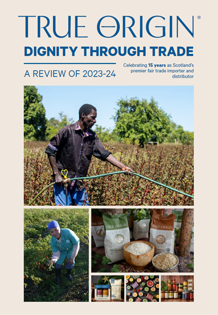 A collection of reports detailing our impact.
