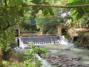 True Impact Starts Here - The Story of Meru Herbs