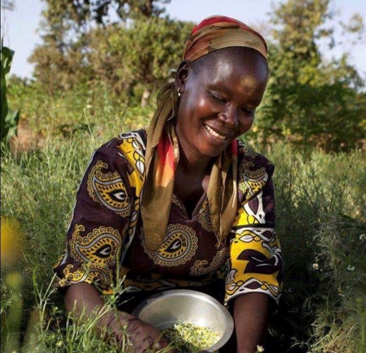 True Impact Starts Here - The Story of Meru Herbs