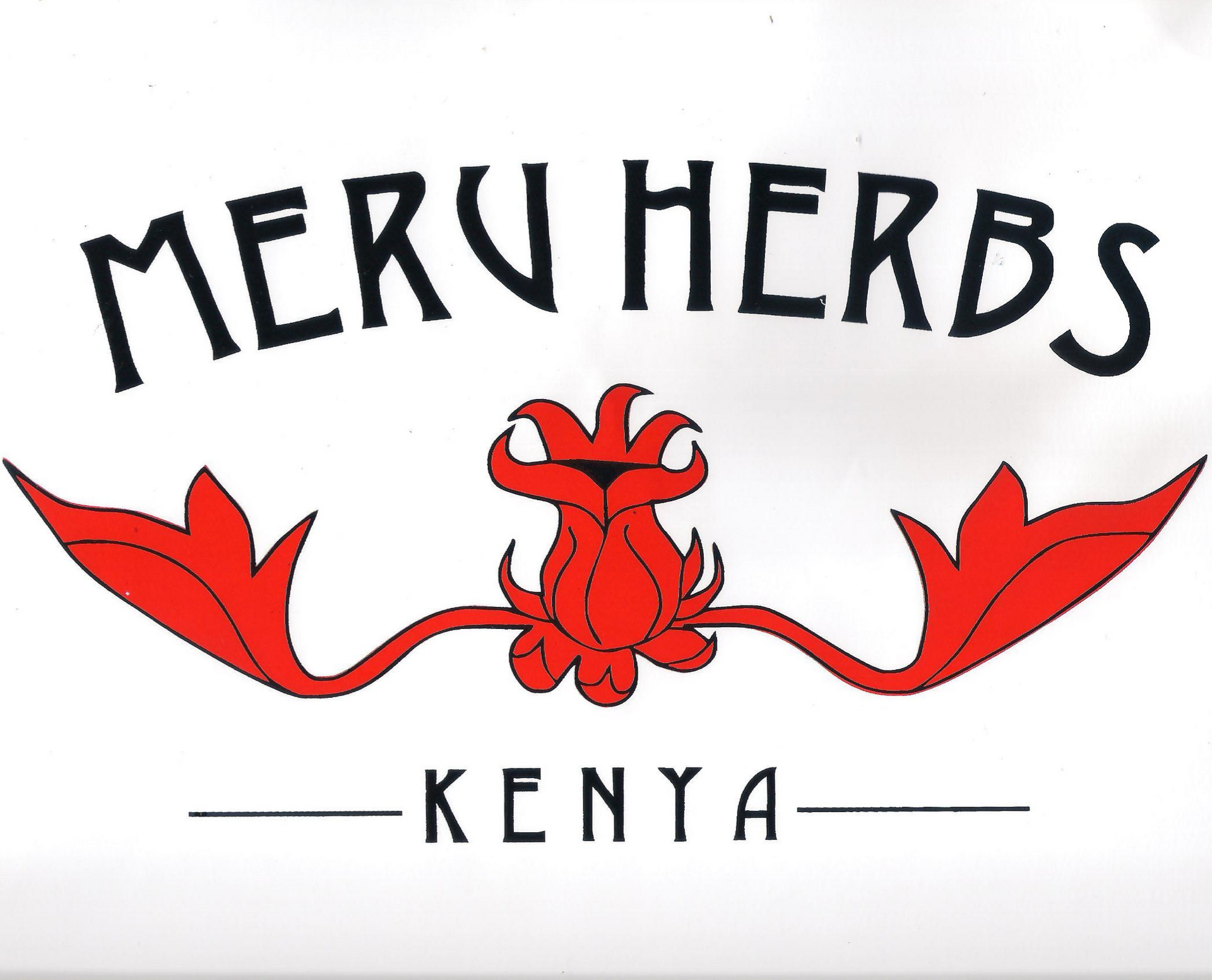 True Impact Starts Here - The Story of Meru Herbs