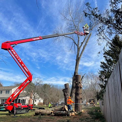 Lewis Lawn & Tree Service | Landscaping, Hardscaping
