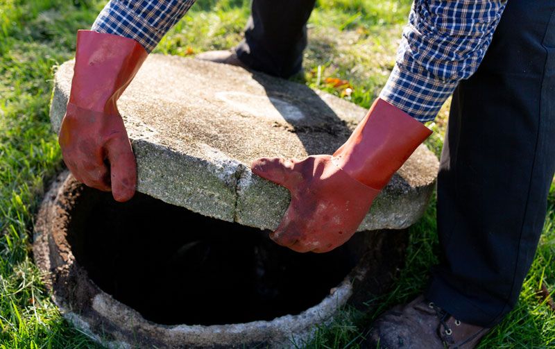 Septic Pumping Quote | Renton, WA | Neighbor’s Septic