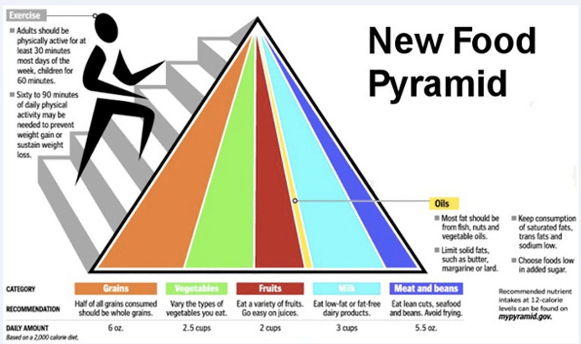 Obesity Treatments | Dr Michael Hatzifotis | Surgery Brisbane