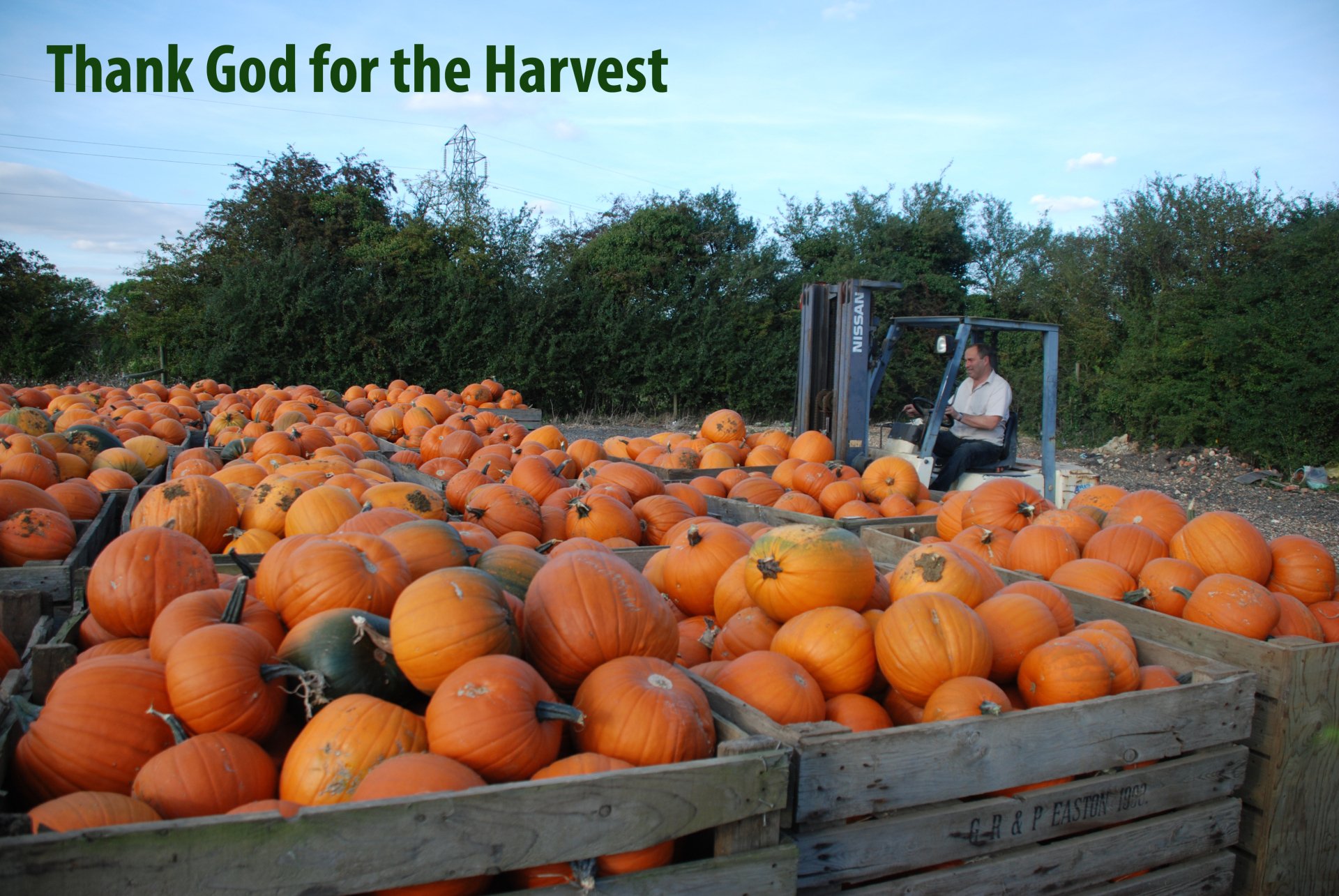Harvest Festival Worship, prayer and Bible resources for Year C