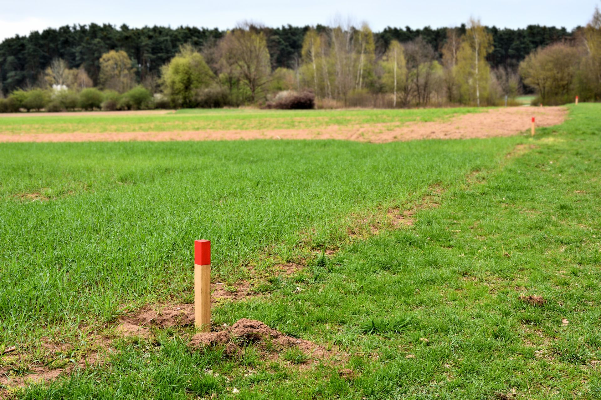 Experts en Arpentage Gatineau | Daniel Giroux Arpenteur-géomètre inc