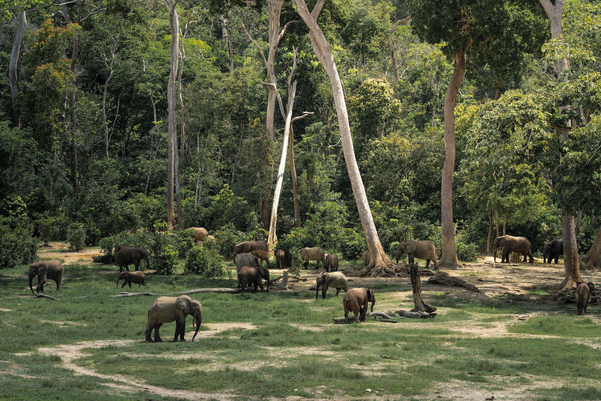 Sangha Lodge | Itineraries
