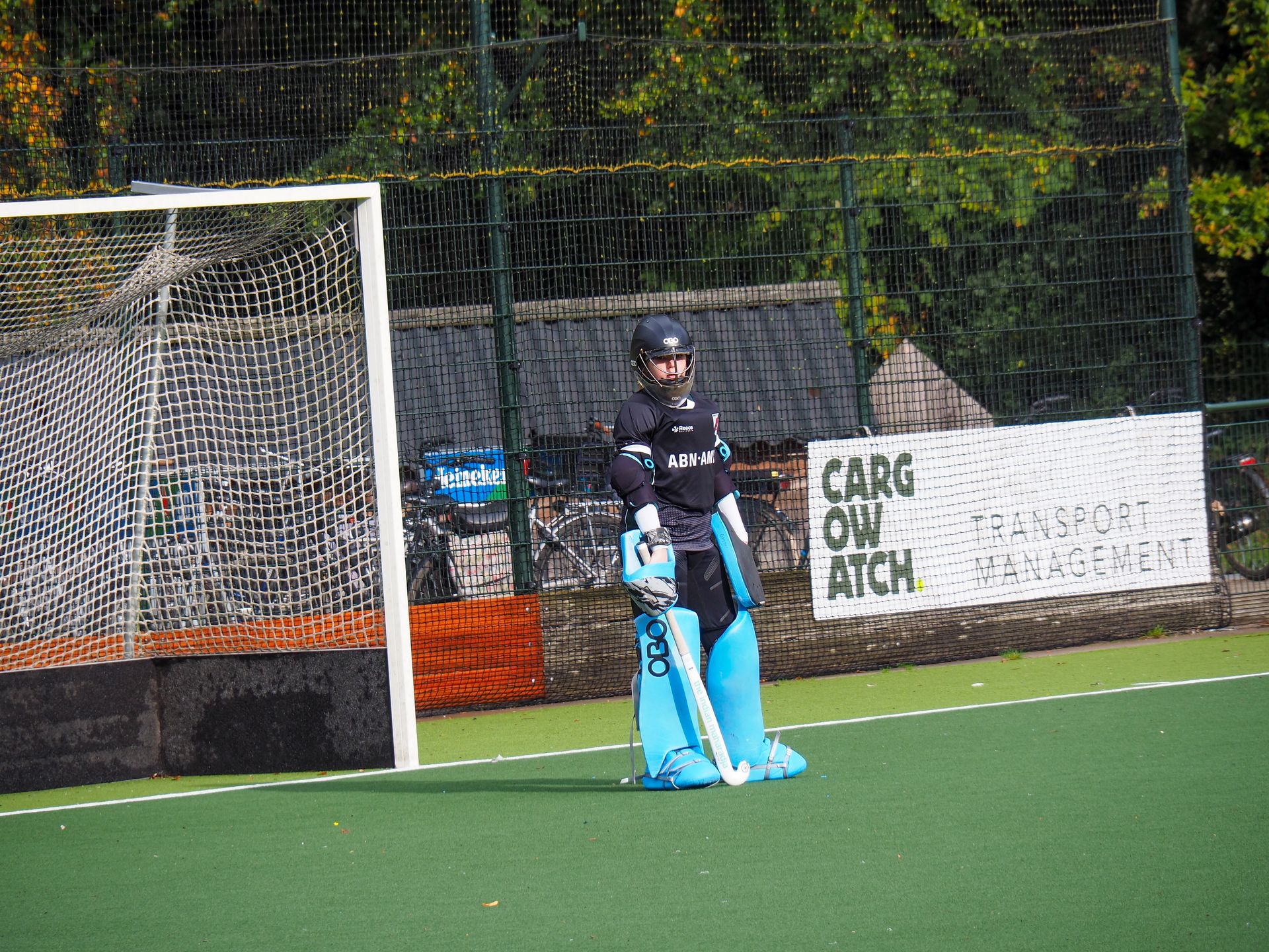 DMHC Shinty
