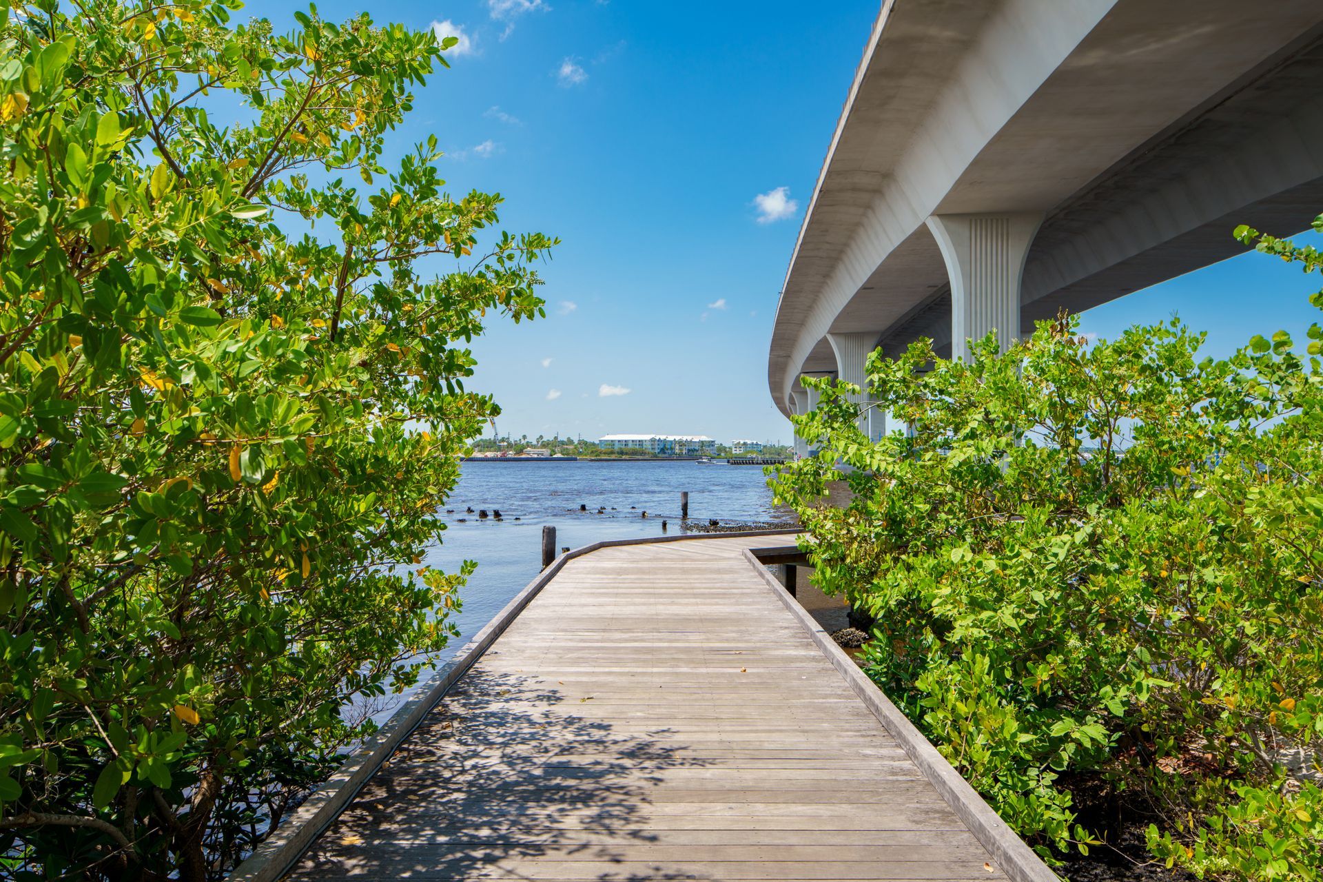 The Best Things to Do in Stuart, FL