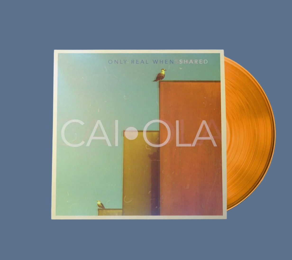 Home [www.whoiscaiola.com]