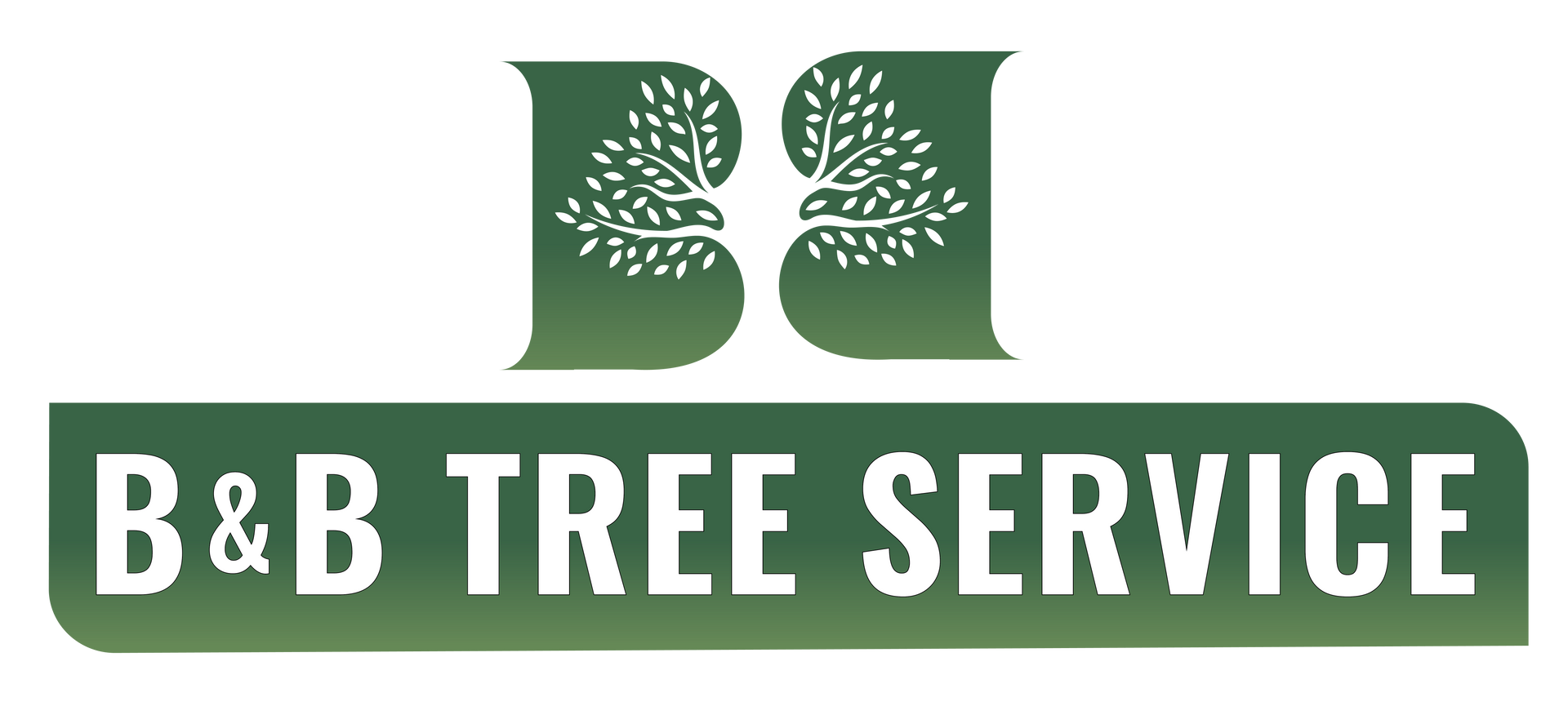 B&B Tree Service - Professional Tree Removal, Trimming and Clean-up KC