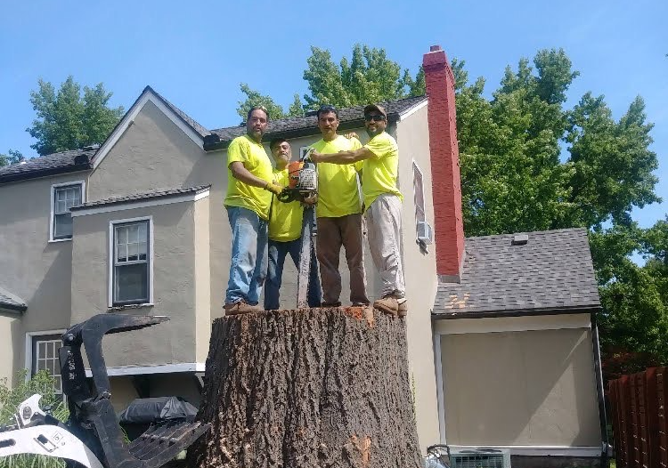 B&B Tree Service - Professional Tree Removal, Trimming and Clean-up KC