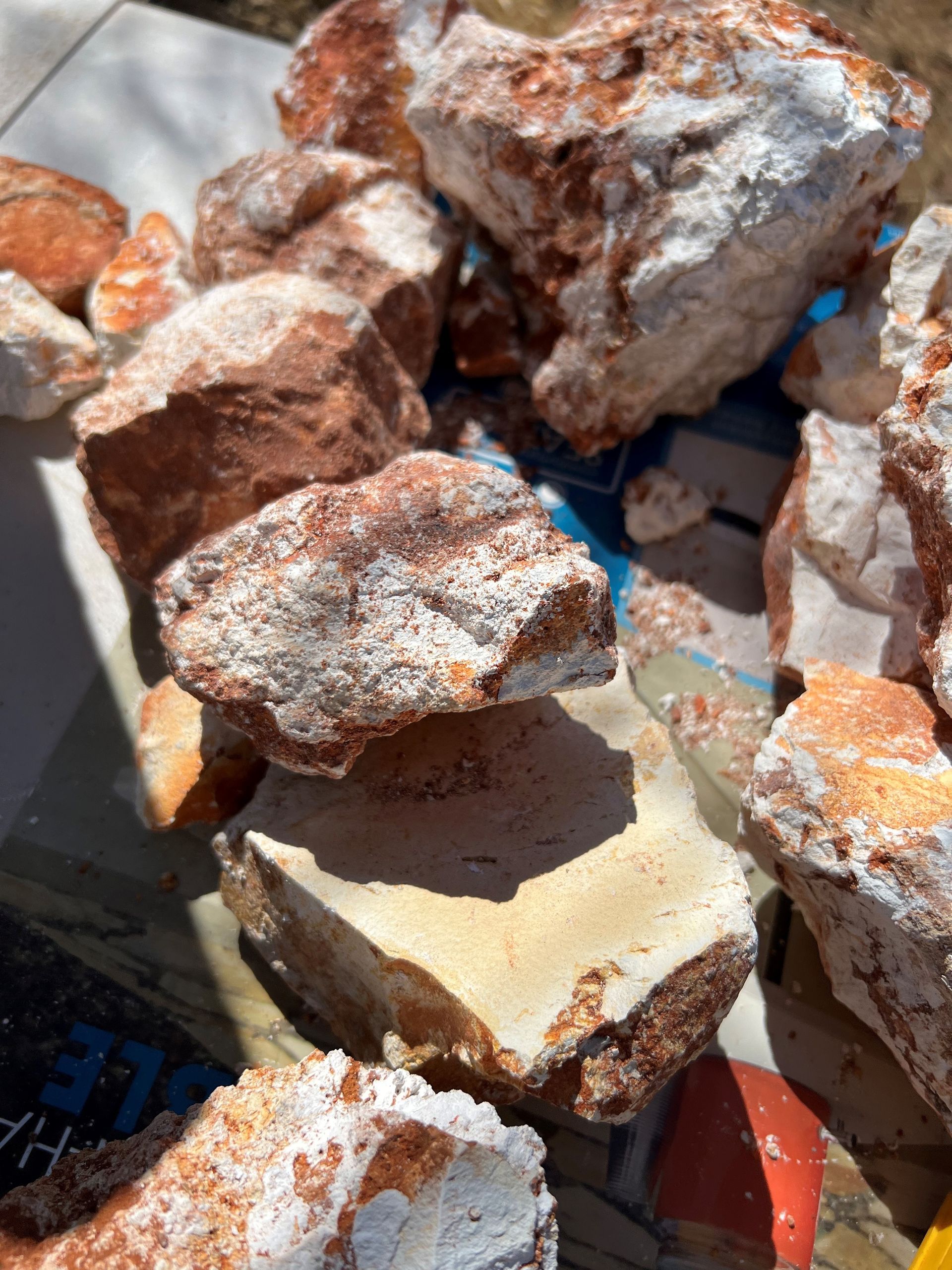 Ammaroo Phosphate Project | Verdant Minerals | NT