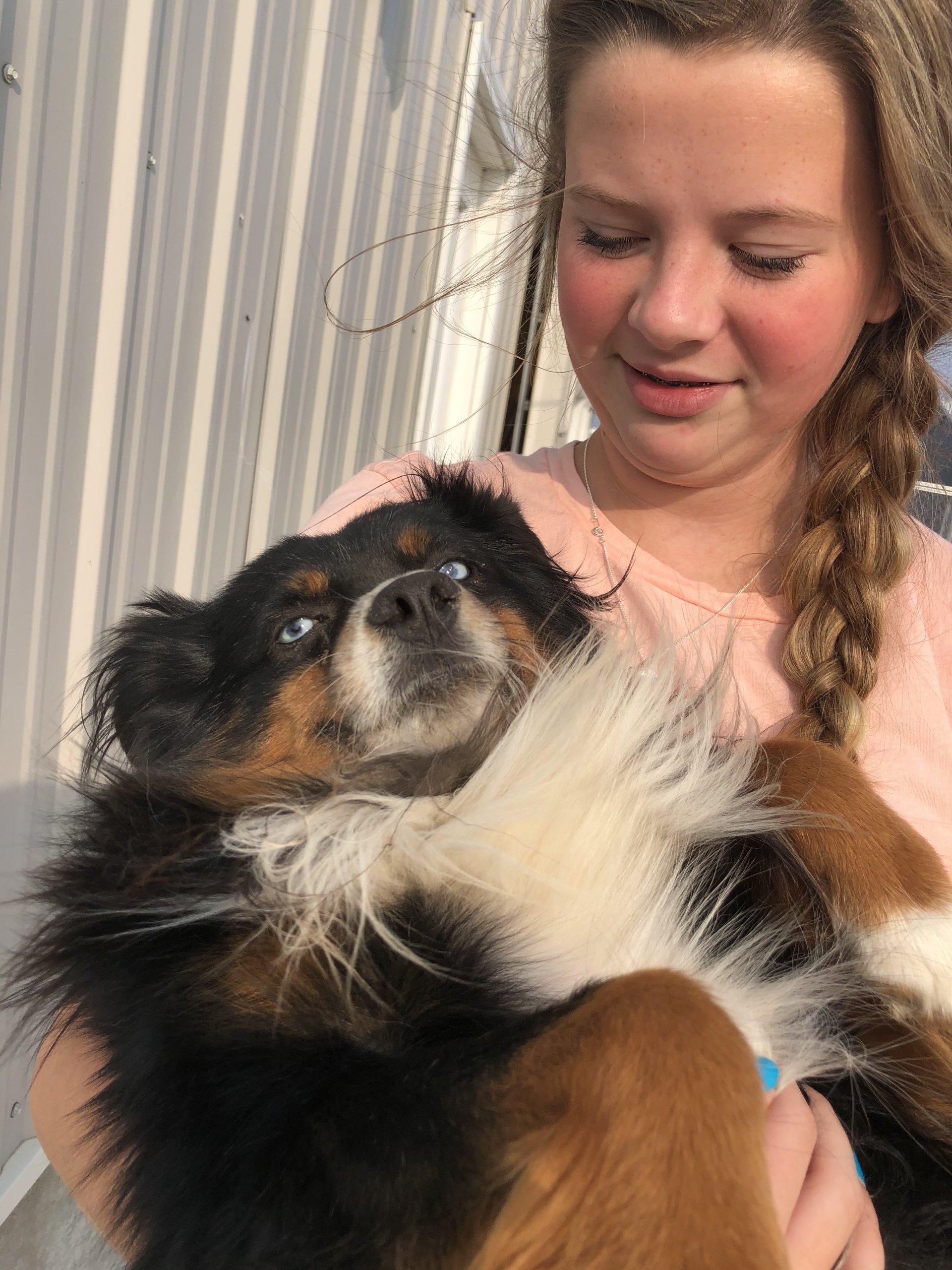 About |JBK Nebraska Dog